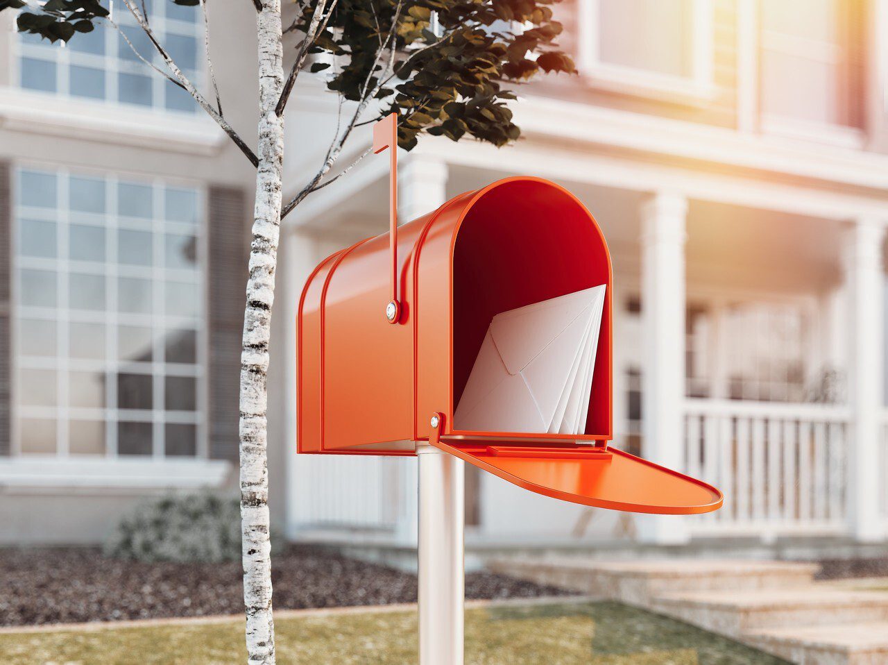 Why should You Choose Postcard Printing | Hamilton Marketing